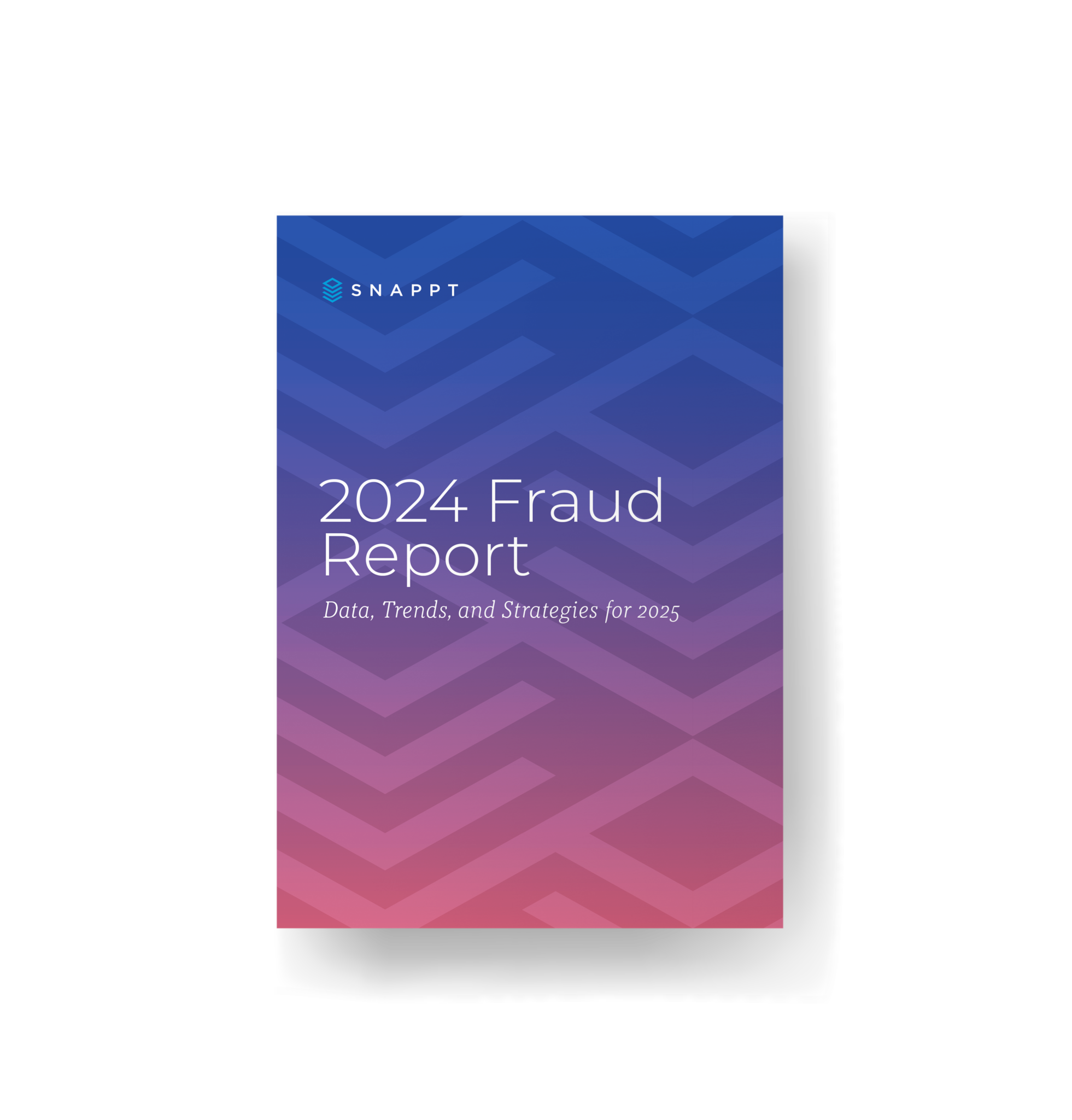 2024 Fraud Report - Snappt